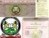 How to replace a lost KNEC Certificate; Procedure for KCSE, KCPE ...